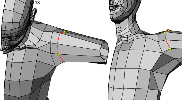 Modeling a Female torso tutorial | free3DTutorials.com