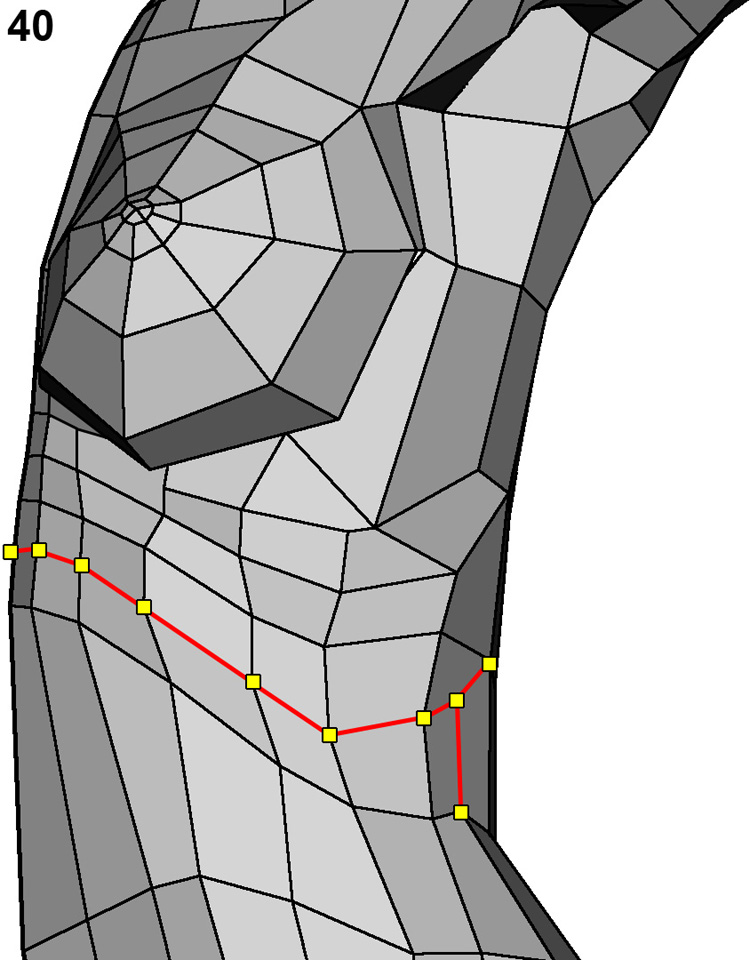 Modeling a Female torso tutorial | free3DTutorials.com